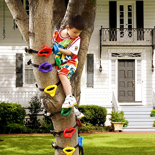 TOPNEW 12 Ninja Tree Climbing Holds for Kids Climber, Adult Climbing Rocks with 6 Ratchet Straps for Outdoor Ninja Warrior Obstacle Course Training