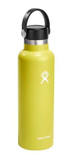 Hydro Flask 21 oz Standard Mouth with Flex Cap Stainless Steel Reusable Water Bottle Cactus - Vacuum Insulated, Dishwasher Safe, BPA-Free, Non-Toxic