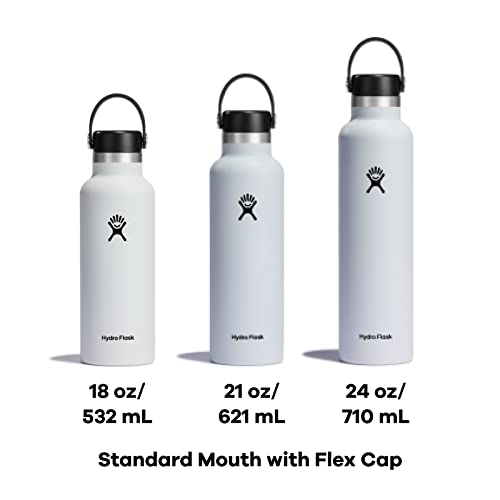 Hydro Flask 21 oz Standard Mouth with Flex Cap Stainless Steel Reusable Water Bottle Cactus - Vacuum Insulated, Dishwasher Safe, BPA-Free, Non-Toxic