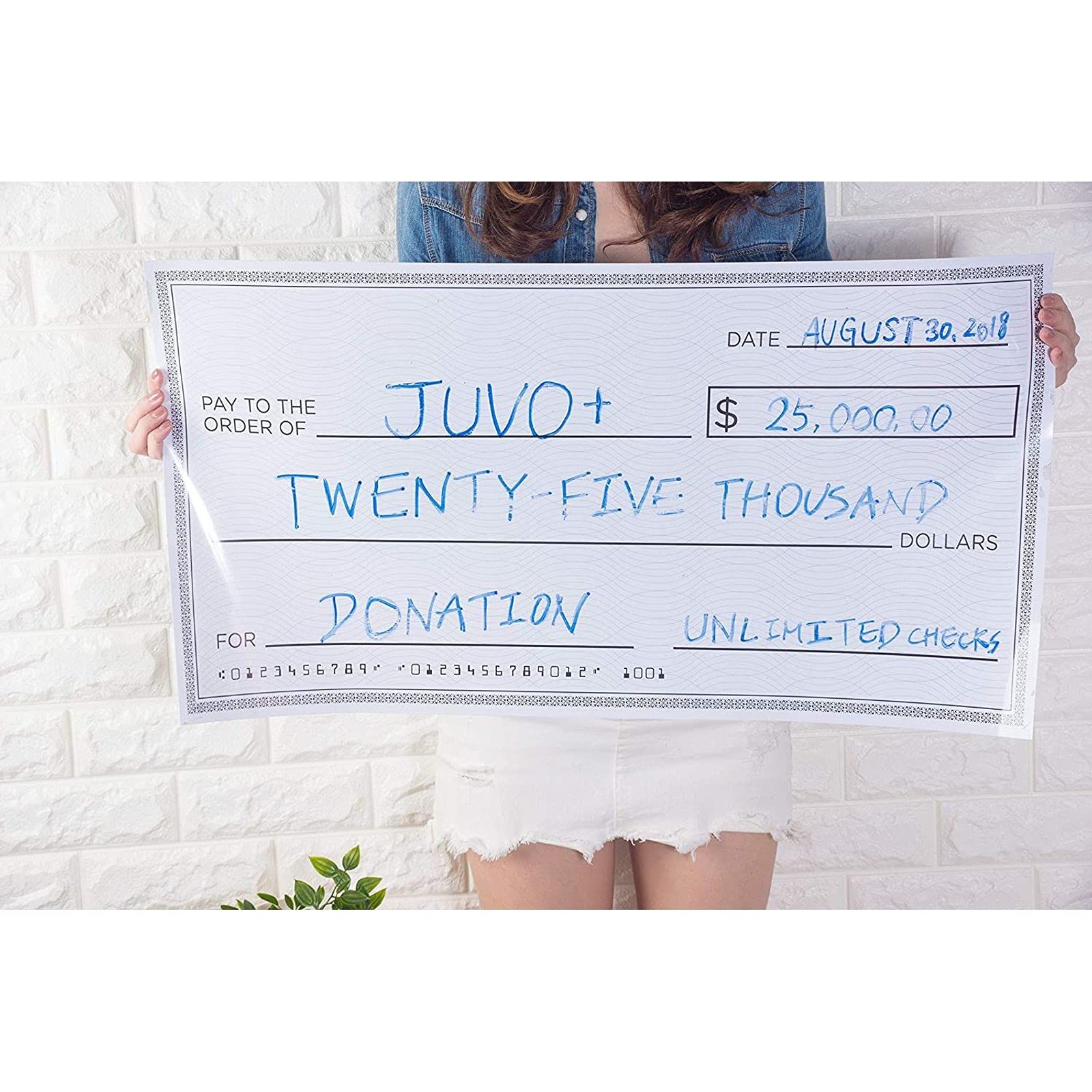 Reusable Big Check for Presentation, Large Oversized Dry Erase Plaque for Endowment, Donations, Gag Gifts, Raffle, Fundraisers (30 x 16 In)