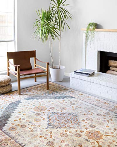 Loloi CLARA Area Rug, 9'-3" x 13', Pebble/Fiesta