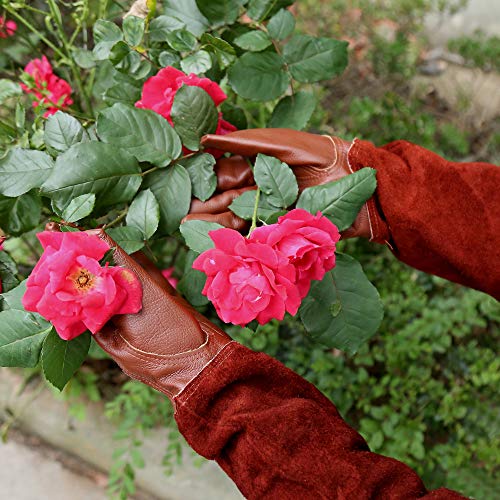 Alomidds Gardening Gloves for Women/Men Rose Pruning Thorn & Cut Proof Long Elbow Durable Cowhide Leather Gardening Gloves for Pruning Cacti Rose and Thorny Bushes (M, BROWN)