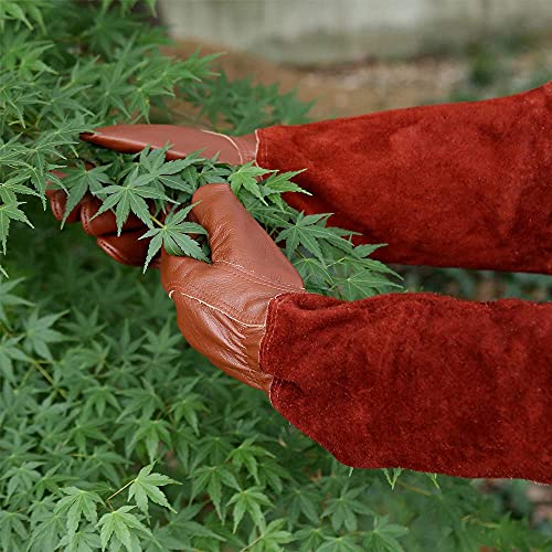 Alomidds Gardening Gloves for Women/Men Rose Pruning Thorn & Cut Proof Long Elbow Durable Cowhide Leather Gardening Gloves for Pruning Cacti Rose and Thorny Bushes (M, BROWN)