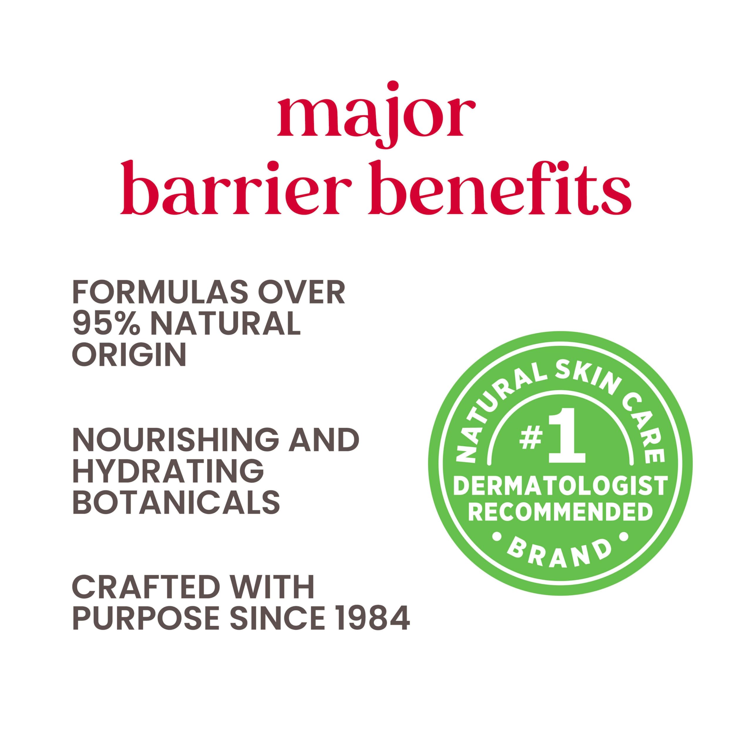 Burt's Bees Lip Balm - Pomegranate, Lip Moisturizer With Responsibly Sourced Beeswax, Tint-Free, Natural Origin Conditioning Treatment, 2 Tubes, 0.15 oz.