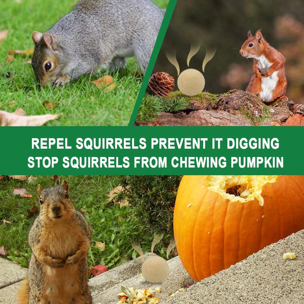 SUAVEC Squirrel Repellent, Chipmunk Repellent, Squirrel Deterrent Peppermint, Outdoor Squirrel Repellents for Garden, Indoor Repellent Squirrels for Attic, Keep Squirrel Away for Plants -8 Pack