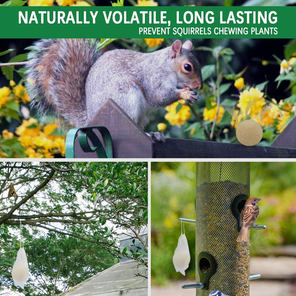 SUAVEC Squirrel Repellent, Chipmunk Repellent, Squirrel Deterrent Peppermint, Outdoor Squirrel Repellents for Garden, Indoor Repellent Squirrels for Attic, Keep Squirrel Away for Plants -8 Pack