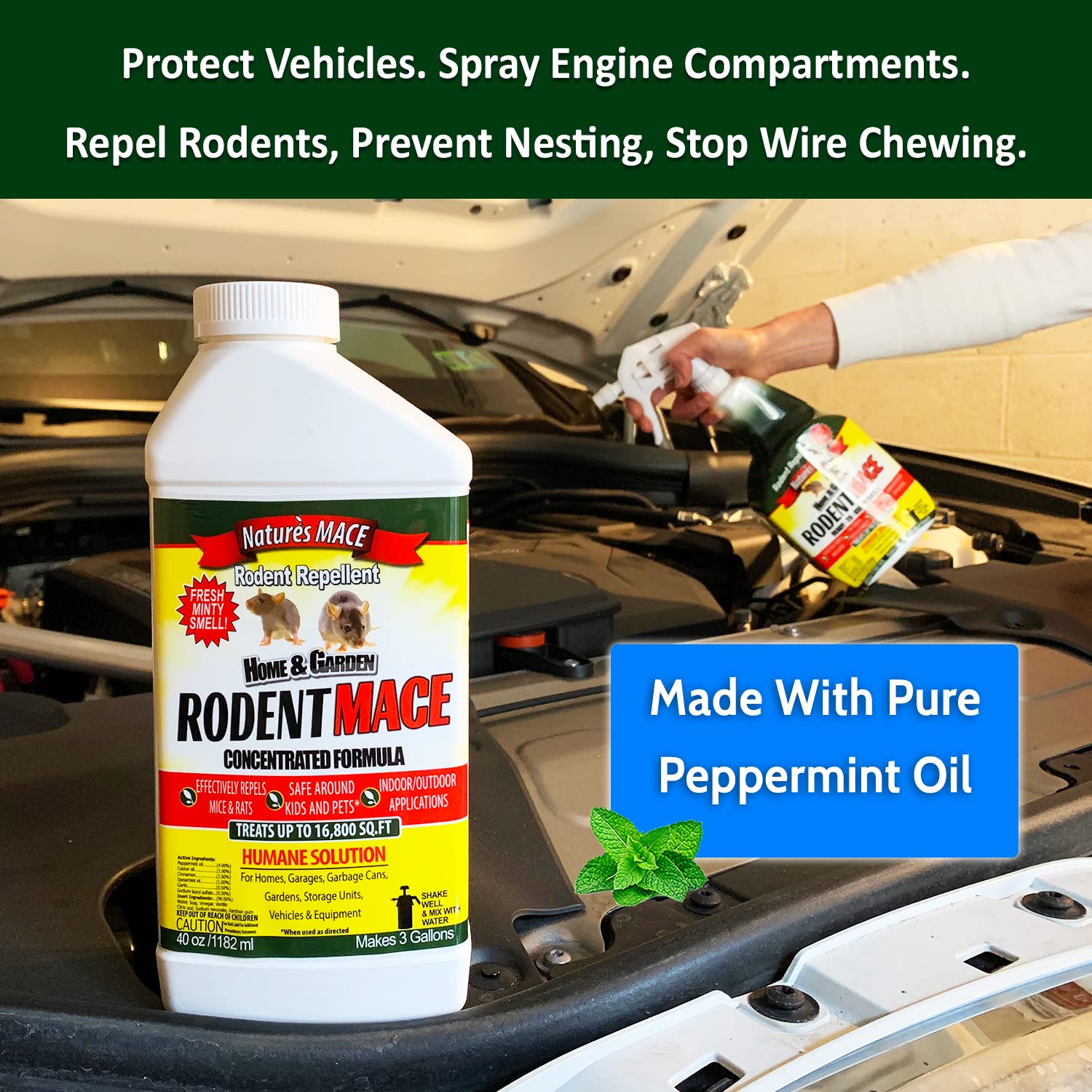 Nature's MACE 40oz Rodent Repellent Spray, Repel Mouse/Mice, Rats, Rodents, Indoor & Outdoor Spray Stops Rodent Damage in House, Car, RV, Storage, Attic, Garage, Stops Nesting & Wire Chewing