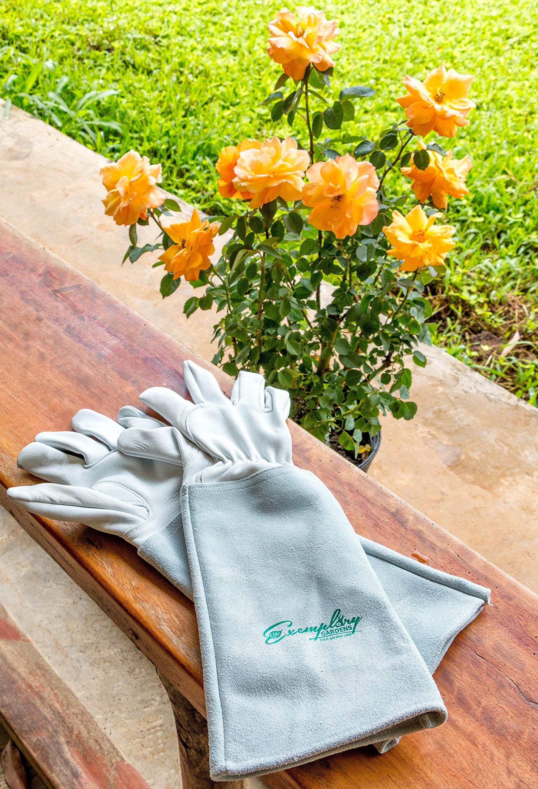 Rose Pruning Gloves for Men and Women - Thorn Proof Goatskin Leather Gardening Gloves with Gauntlet (Extra Large,Natural)