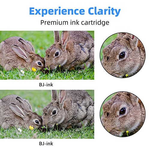 BJ-INK Ink Cartridges Compatible Replacement for Brother LC-3013-XL LC3011 XL Work for Brother MFC-J491DW, MFC-J895DW, MFC-J497DW, MFC-J690DW MFC-J487DW Printers, 10 Pack
