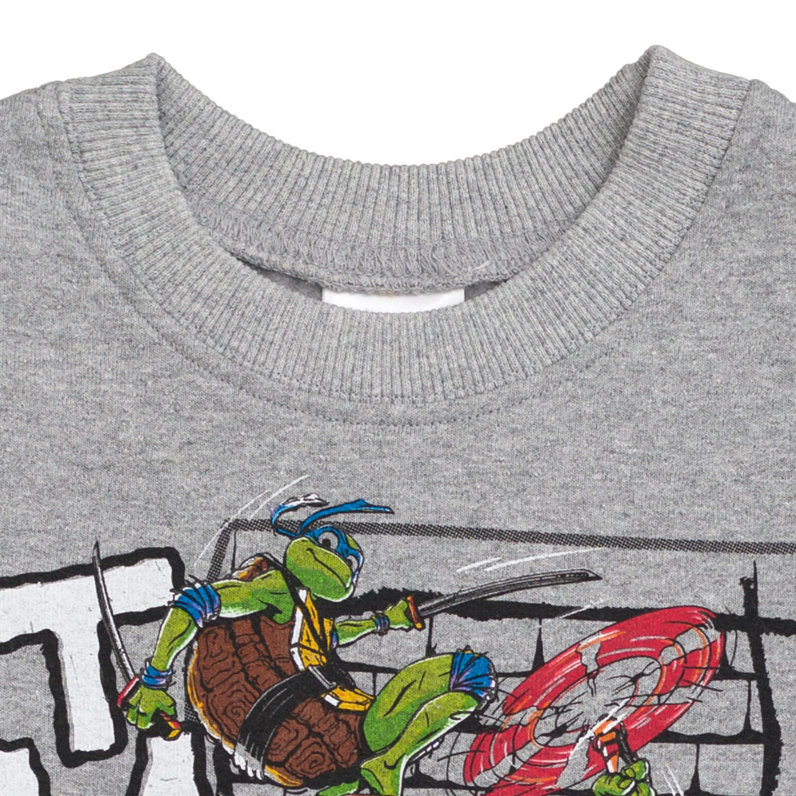 Teenage Mutant Ninja Turtles Donatello Raphael Leonardo Toddler Boys Fleece Sweatshirt and Pants Set Gray/Green 5T