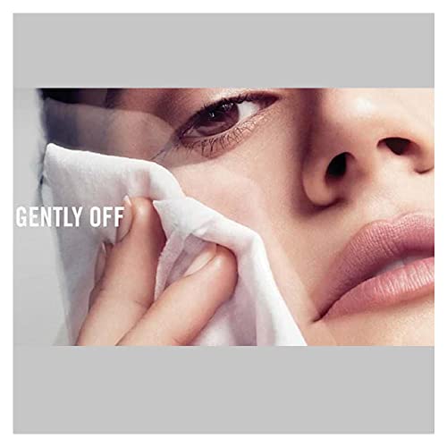 M · A · C Wipe Clean Type of Makeup Remover 100 Pieces [102754] [parallel import goods]