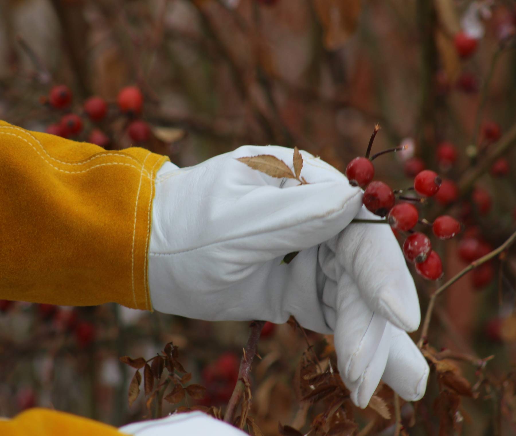 Suse's Kinder Garden Gloves for Women, Thorn Proof Rose Pruning Gloves with Kevlar Lining (Yellow/White, XS)