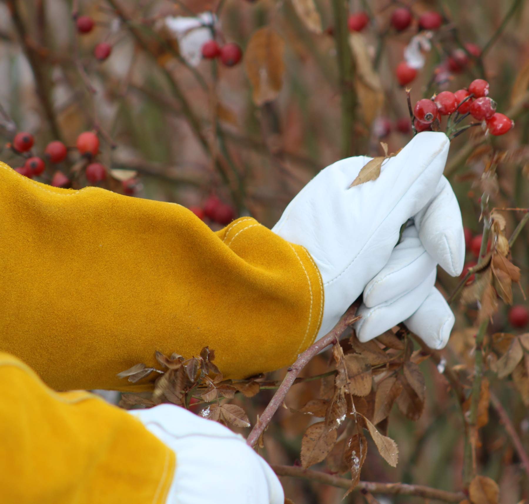 Suse's Kinder Garden Gloves for Women, Thorn Proof Rose Pruning Gloves with Kevlar Lining (Yellow/White, XS)