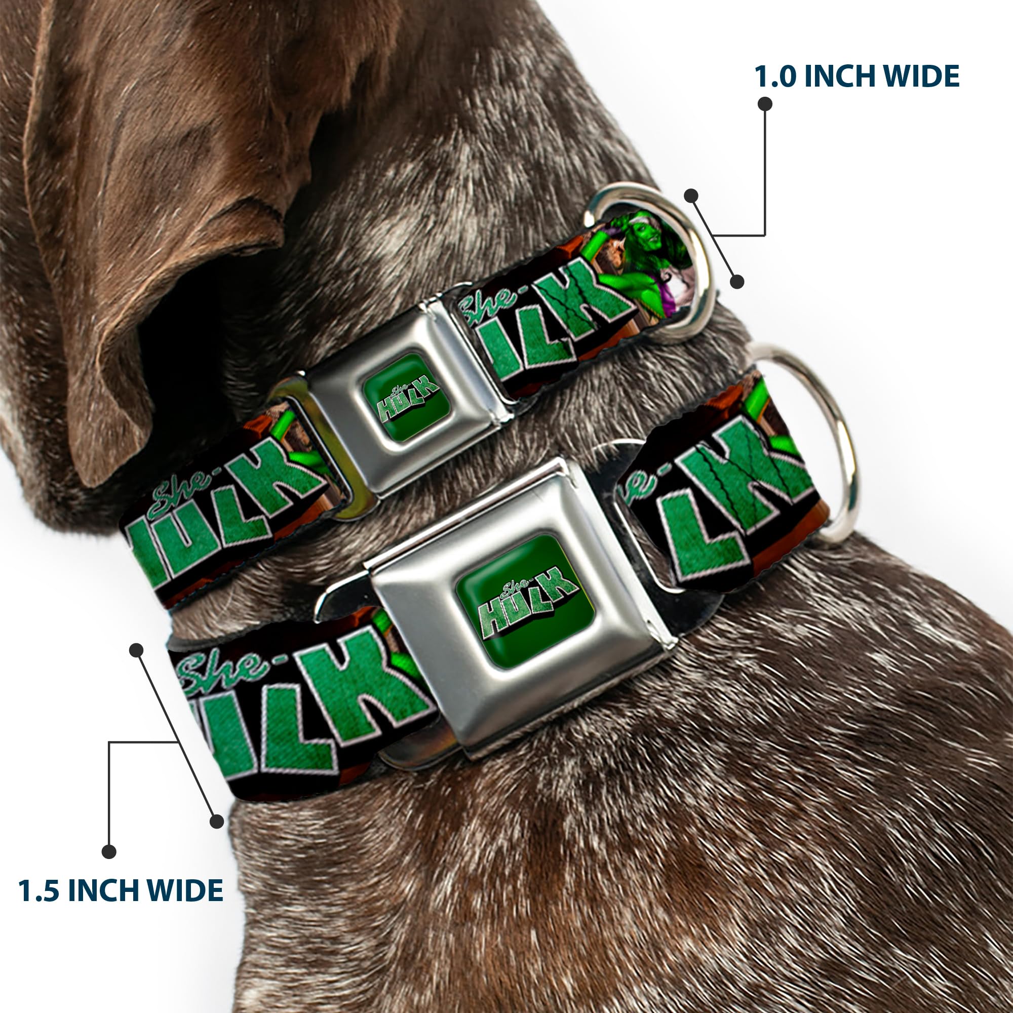 Dog Collar Seatbelt Buckle She Hulk Comic Book Cover Poses Rocks 15 to 26 Inches 1.0 Inch Wide, DC-WXM022-L
