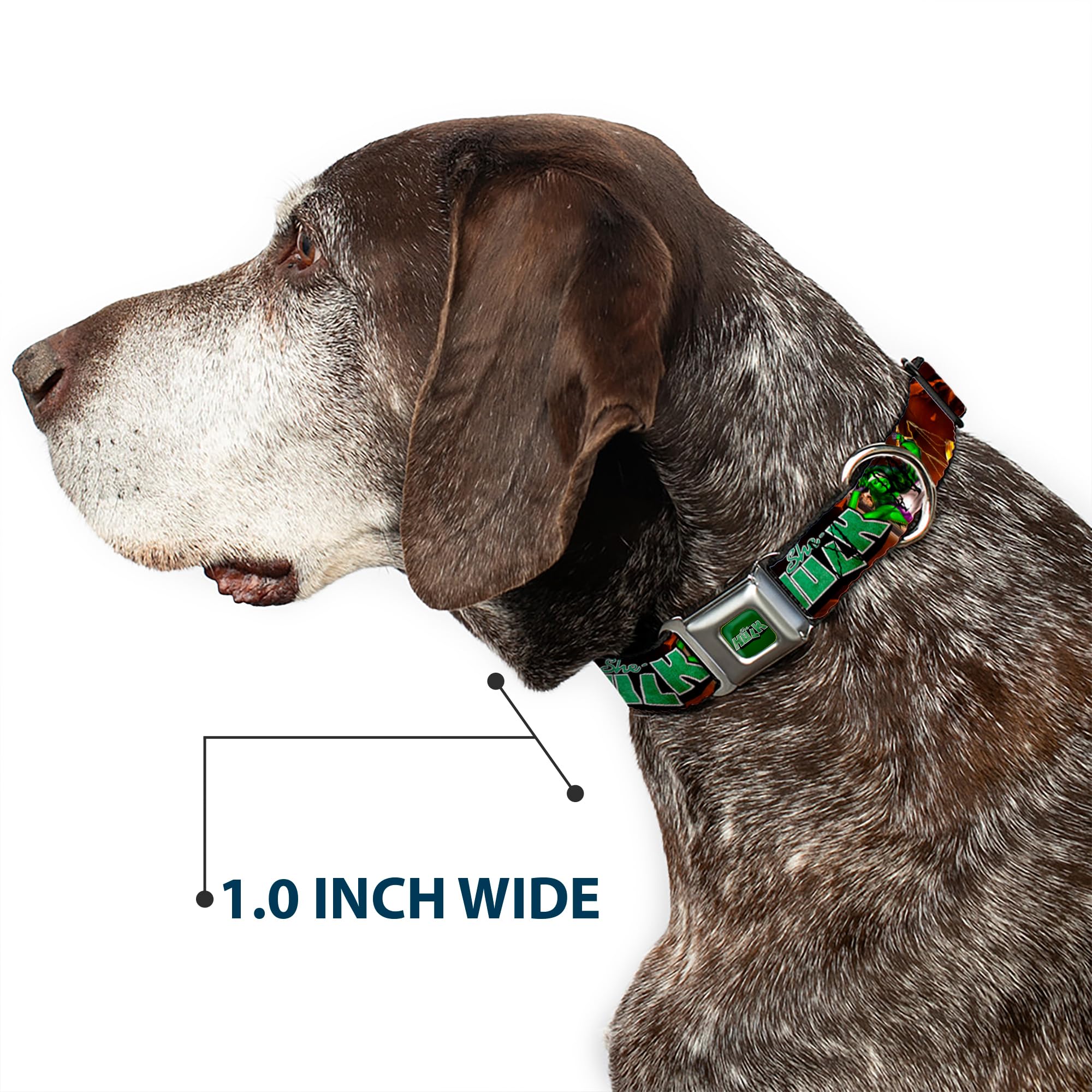Dog Collar Seatbelt Buckle She Hulk Comic Book Cover Poses Rocks 15 to 26 Inches 1.0 Inch Wide, DC-WXM022-L