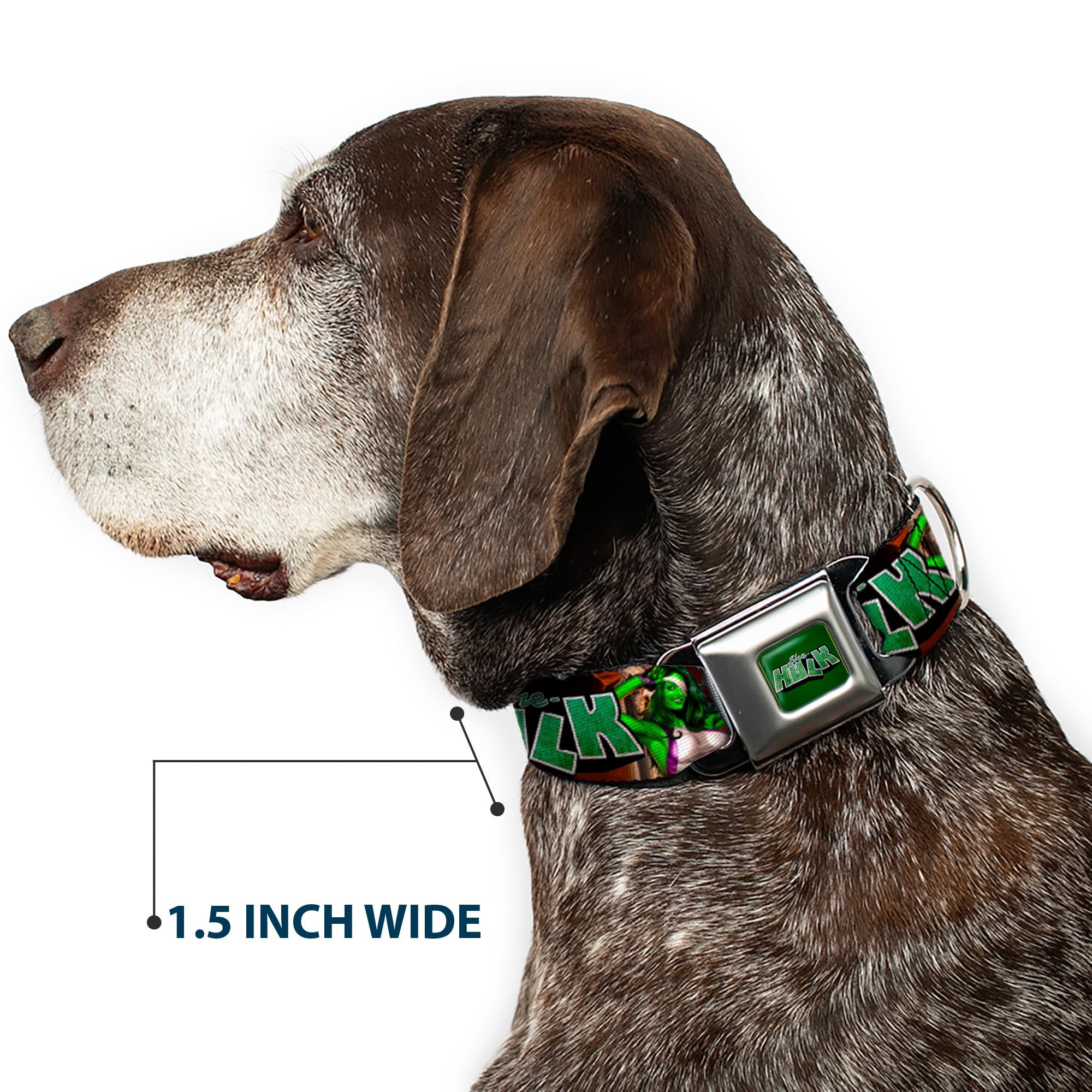 Dog Collar Seatbelt Buckle She Hulk Comic Book Cover Poses Rocks 15 to 26 Inches 1.0 Inch Wide, DC-WXM022-L