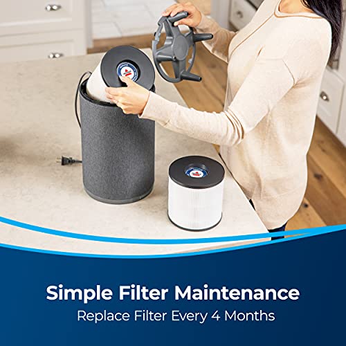 BISSELL® MYair™+ and MYair™ HUB HEPA and Carbon Filter, 3389