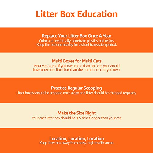 Amazon Basics Sifting Scoop-Free Easy-to-Clean Cat Litter Box, Large, Gray