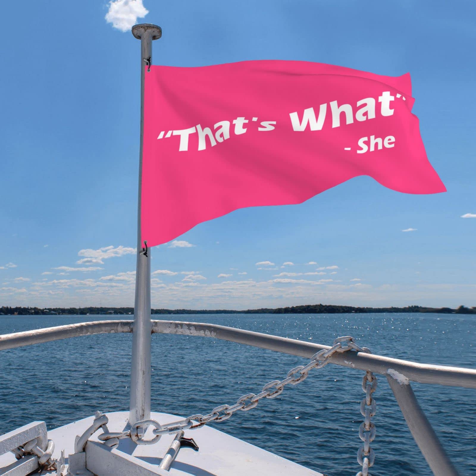 gaeruite Stuff for Your Room That's What She Said Flag Teen Boy Room Decor Teen Stuff (Size : 152X244CM)