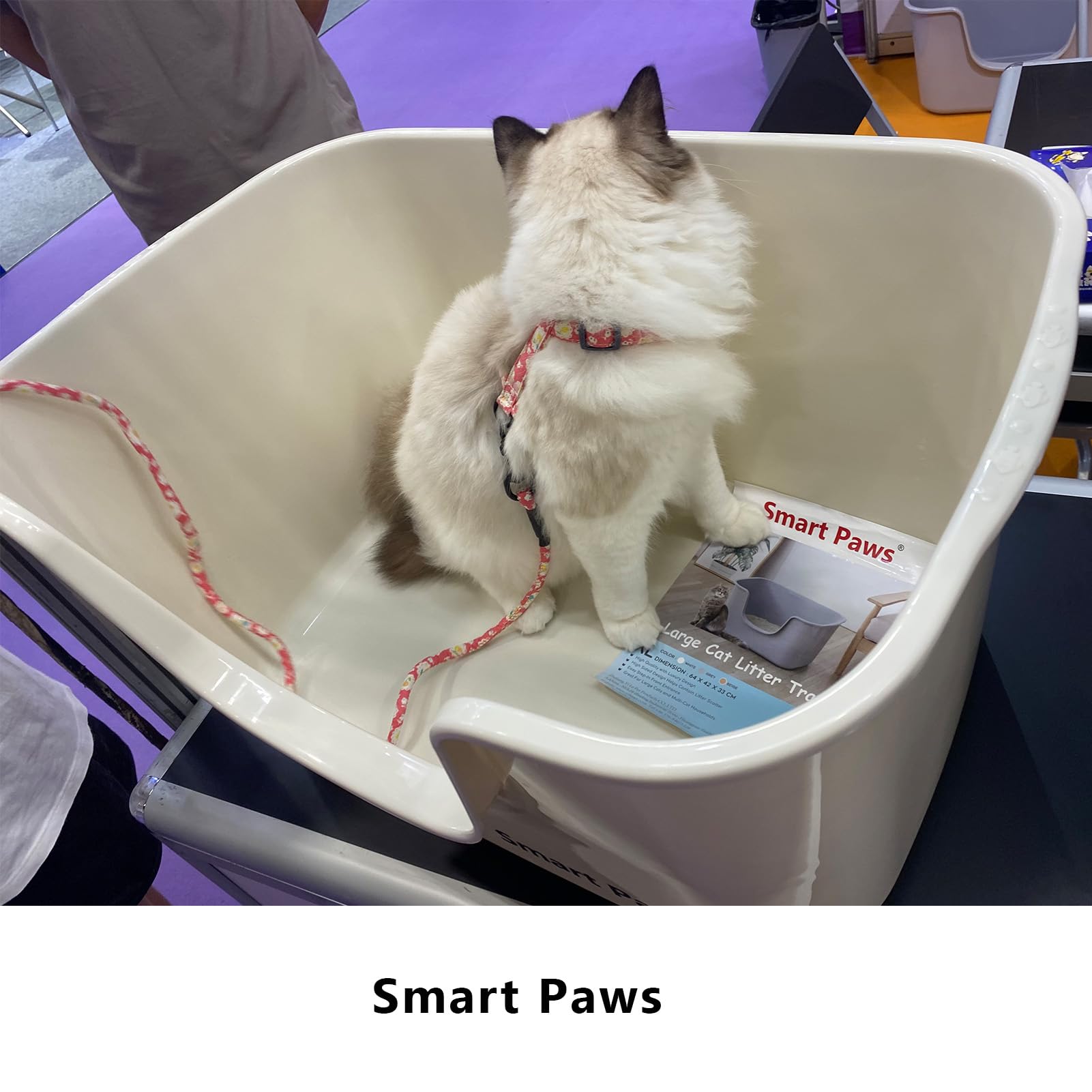 Smart Paws Extra Large Jumbo Cat Litter Box for Maine Coon Cats, Open Top High-Sided Anti-Splash Litter Pans, Durable XL Kitty Bathroom for Multi-Cat Households (Grey)