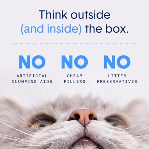 Boxie® Gently Scented 30 Day Natural Odor Control Cat Litter, 40lb Clumping Clay Kitty Litter