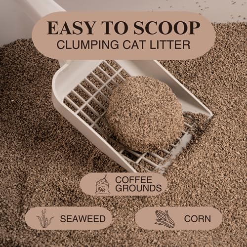 Natural Cat Litter from Upcycled Coffee Grounds - Alternative to Clay and Pellet Litter - Unscented Cat Litter Clumping - Lightweight Litter - Powerful Odor Control - Easy to Scoop - 13 LB