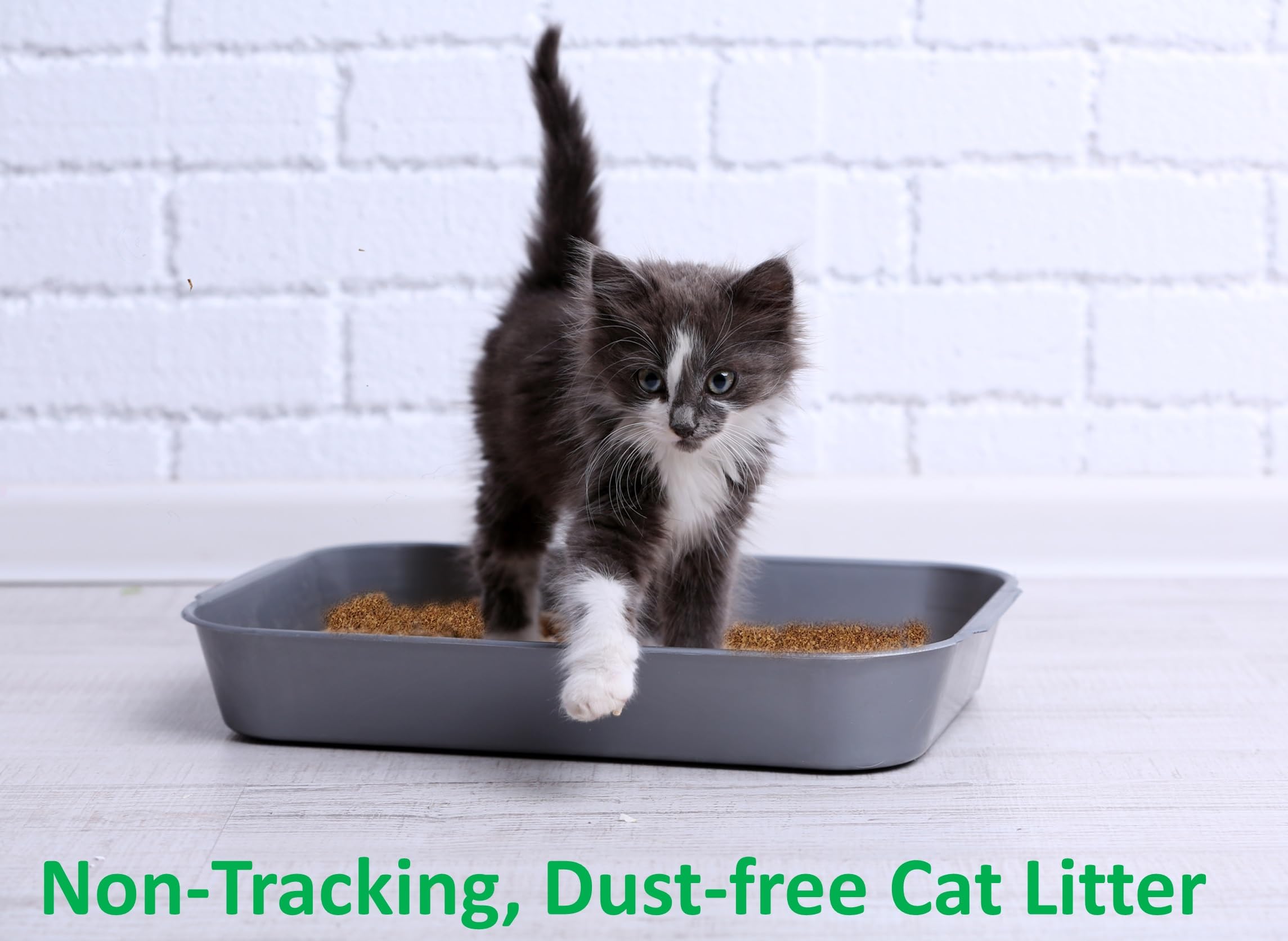 Coir Wonder Coconut Cat Litter – Natural, Non-Clumping Kitty Litter - Ultra Lightweight Bag Lasts Same As 40 Lb Clay – with Activated Charcoal Odor Control – Bedding for Chicken Coop and Small Pets