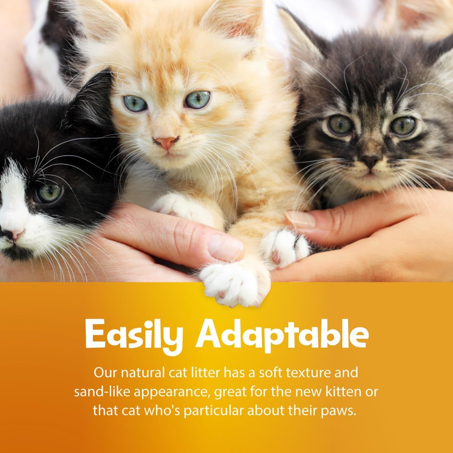 SmartCat All Natural Clumping Cat Litter - Chemical and Dust Free - Alternative to Clay and Pellet Litter - Unscented and Lightweight - 5 Pounds
