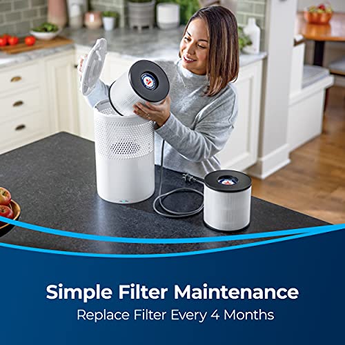 BISSELL® MYair™ Pro Replacement HEPA and Carbon Filter, 3069