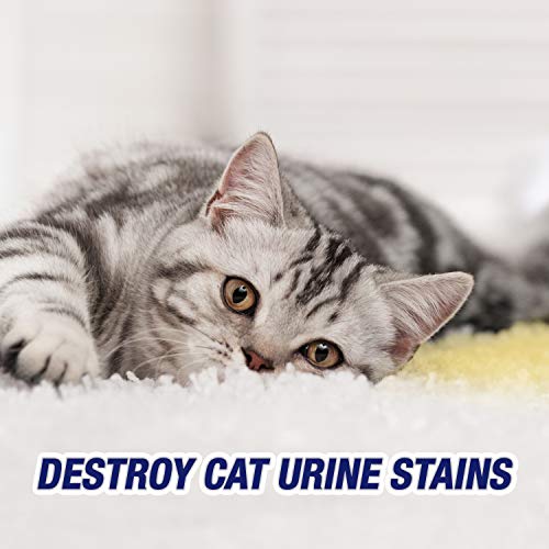 Resolve Urine Destroyer Spray Stain & Odor Remover, Transparent, No Flavor, 32 Fl Oz