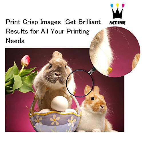 AceInk Compatible LC3019 XXL 2 Packs Black Ink Cartridges for Brother LC3019 Work with Brother MFC-J5330DW, MFC-J5335DW, MFC-J6530DW, MFC-J6730DW, MFC-J6930DW Inkjet Printer