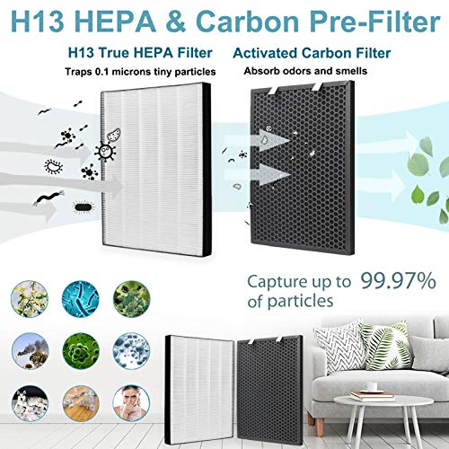 FFsign 2678 Replacement High Efficiency HEPA Filter + 2677 Actived Carbon Filter for Bissell Air220 Air320, 1 True HEPA Pre-Filter & 1 Carbon Filter