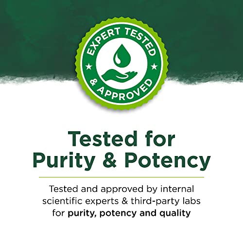 Swanson Milk Thistle (Standardized) - Herbal Liver Support Supplement w/ 80% Silymarin - Natural Formula Helping to Maintain Overall Health & Wellbeing - (120 Capsules)