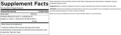 Swanson Probiotic with Digestive Enzymes 5 Billion Cfu 60 Veg Capsules (2 Pack)
