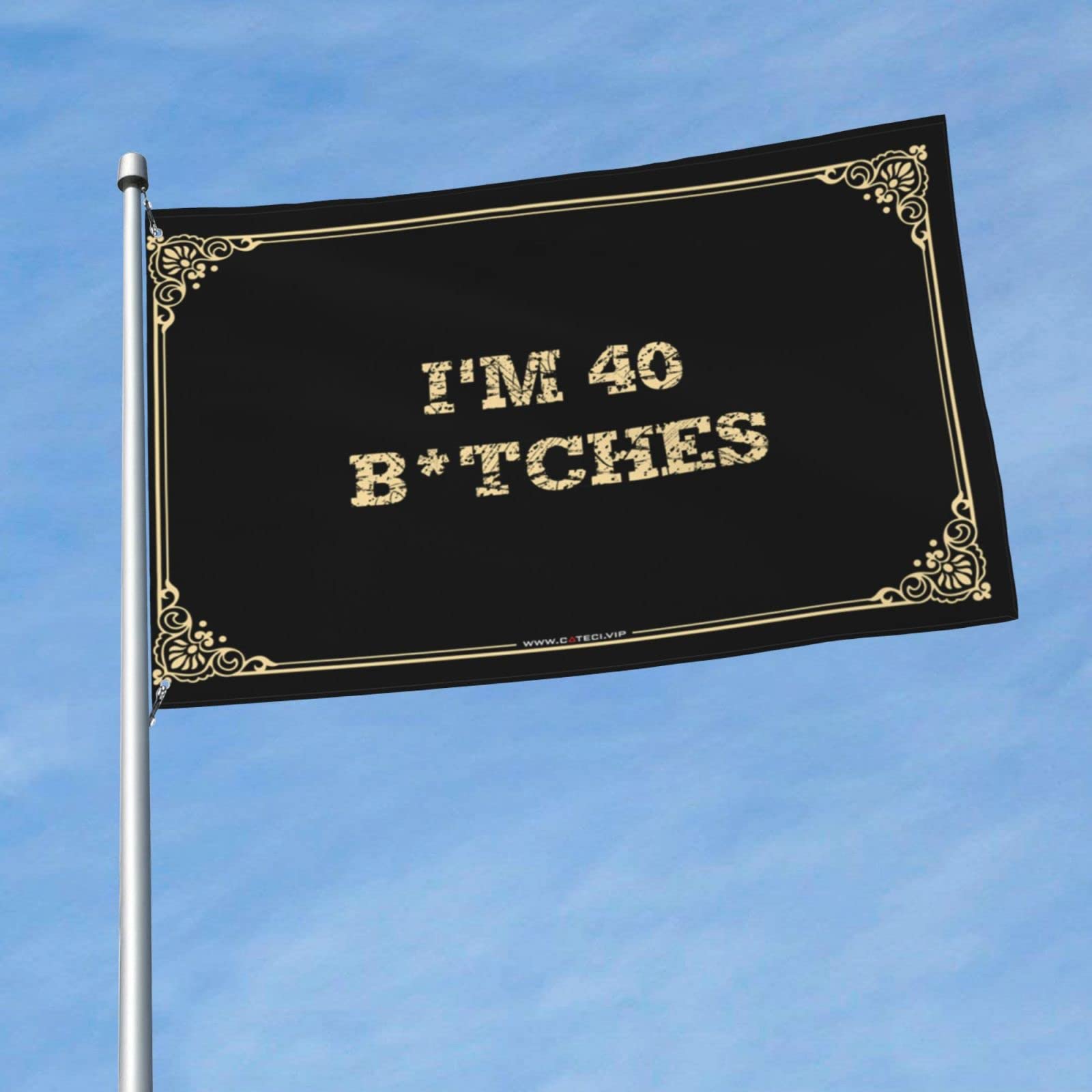 Stuff For Your Room I'M 40 B*Tches Flag Bar Accessories Man Cave College Posters For Guys (Color : Colour, Size : 60X90CM)