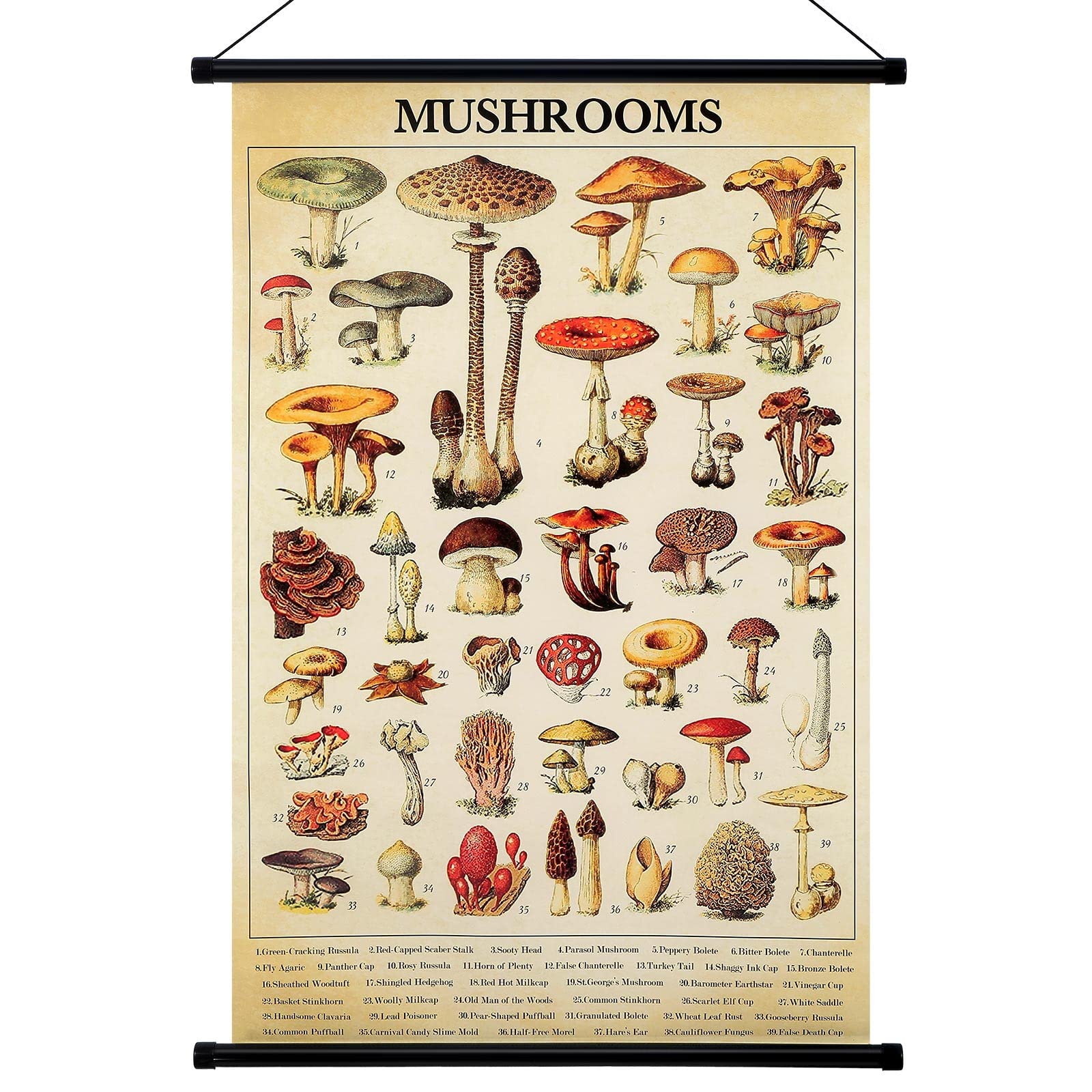 Geyee Vintage Mushroom Poster Fungus Wall Art Prints Rustic Mushroom Wall Hanging Illustrative Reference Chart Poster for Living Room Office Classroom Bedroom Decor Frame, 15.8 x 23.6 Inch (Mushroom)