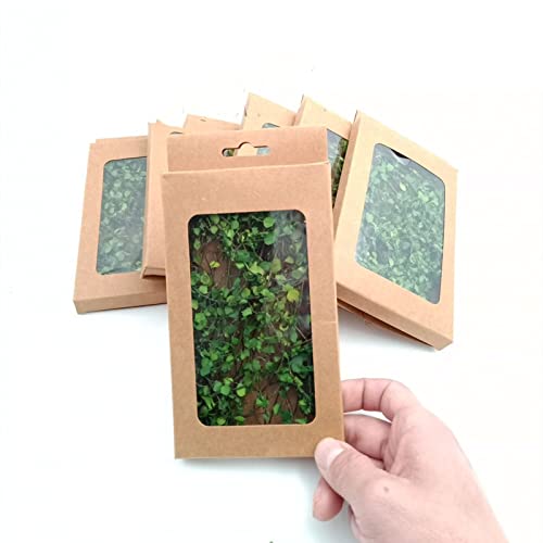 Realistic Miniature Vines Simulation Vine for DIY Mini Model Railway Fairy Garden Architecture Diorama Scenery Landscape Layout