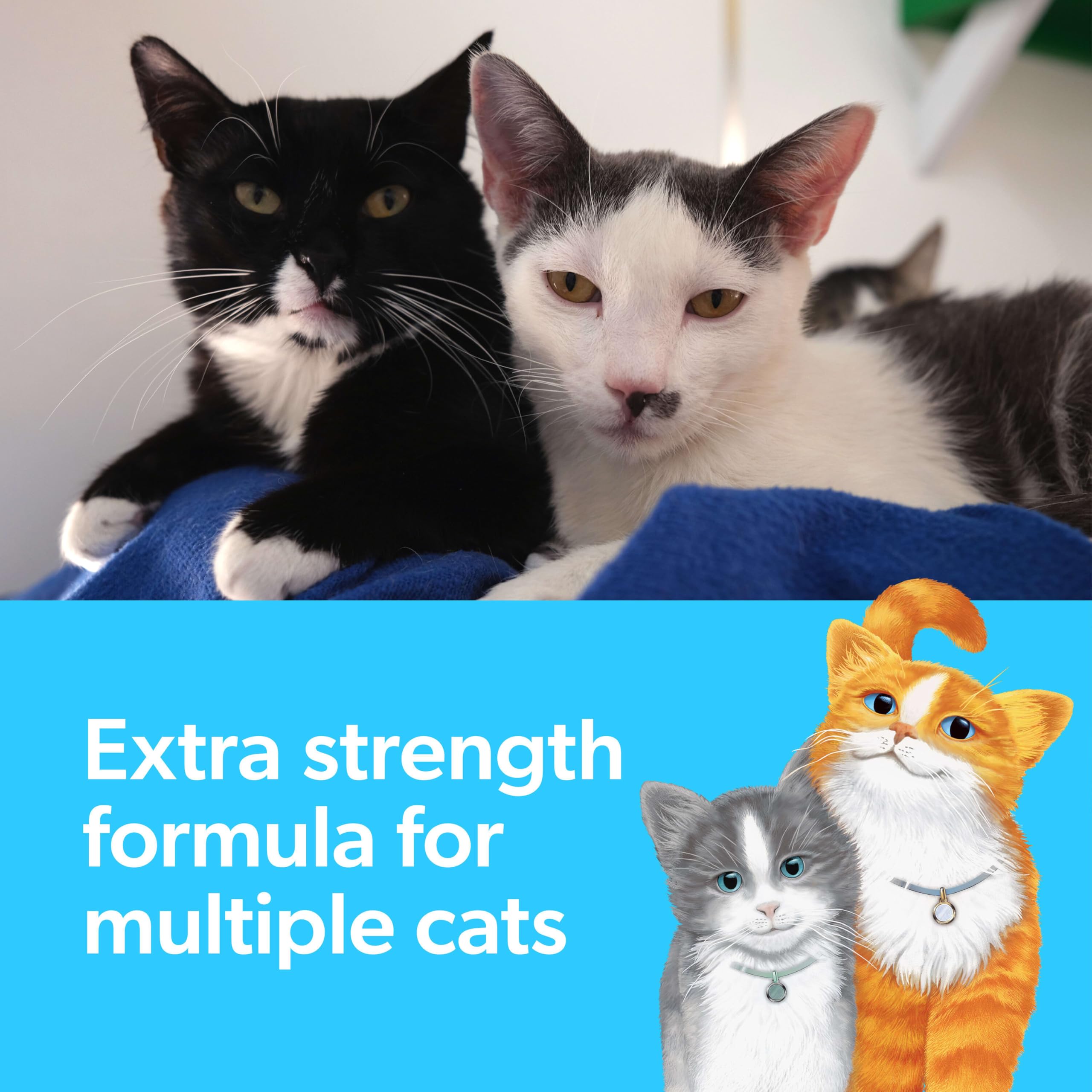 Fresh Step Multi-Cat Litter, Scented with Febreze, 25 Lb