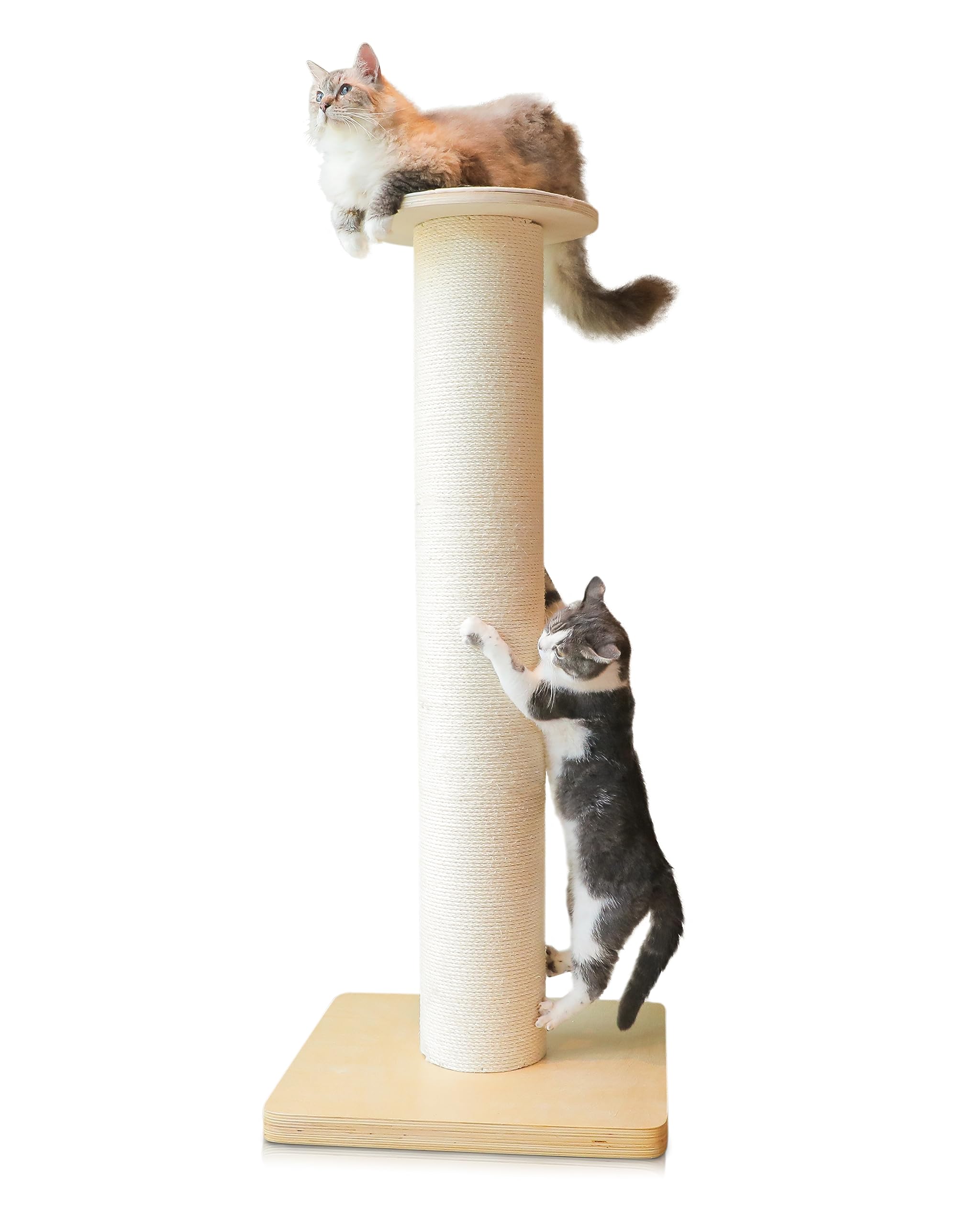 KONELCARE 50" Tall Cat Scratching Post, Extra-Large Cat Scratch Post for Biggest Cats (Maine Coon), 7.3” Thick Post, 36lbs Weight, Solid Wood Base & Natural Sisal Rope