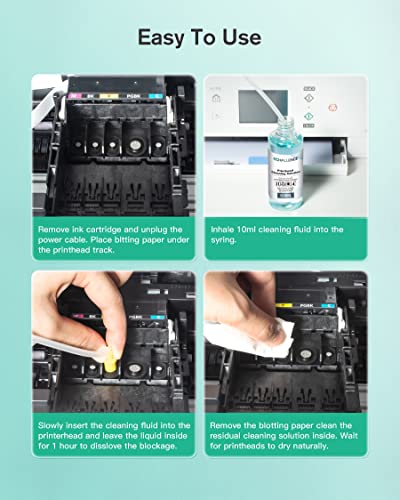 ECHALLENGE Printer Cleaning Kit Inkjet Printer Head Cleaning 100ML Kit -2 Pack for HP Brother Canon 8600 8610 6700 6900 Epson et-2720 et-2750 WF-7710 WF-3640 Liquid Printers Nozzle (Cyan, 200ML)