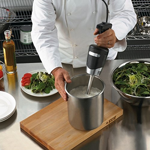 Waring (WSB40) 10" Medium-Duty Quik Stik Plus Immersion Blender,Black/Silver