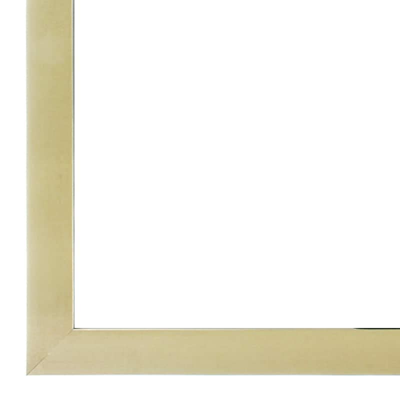 MICHAELS Champagne Gallery Wall Frame with Double Mat by Studio Décor®