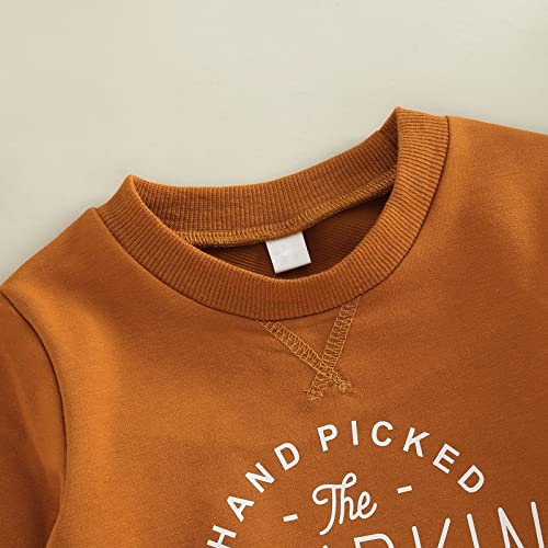 Toddler Baby Girl Boy Halloween Outfit Pumpkin Patch Crewneck Sweatshirt Pullover Sweater Fall Halloween Clothes (Hand Picked The Pumpkin Patch-Brown,6-12 Months)