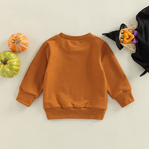 Toddler Baby Girl Boy Halloween Outfit Pumpkin Patch Crewneck Sweatshirt Pullover Sweater Fall Halloween Clothes (Hand Picked The Pumpkin Patch-Brown,6-12 Months)