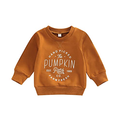 Toddler Baby Girl Boy Halloween Outfit Pumpkin Patch Crewneck Sweatshirt Pullover Sweater Fall Halloween Clothes (Hand Picked The Pumpkin Patch-Brown,6-12 Months)