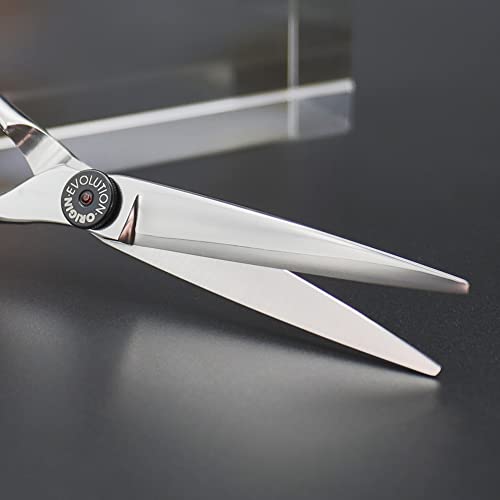 AOLANDUO 6" Hair Cutting Scissor - High End AICHI Steel Handmade Barber Scissors-Razor Edge/Offset Design/Pro Ergonomic for Salon Stylists Beauticians and Barbers… B09B3DT5SD
