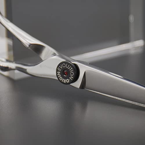 AOLANDUO 6" Hair Cutting Scissor - High End AICHI Steel Handmade Barber Scissors-Razor Edge/Offset Design/Pro Ergonomic for Salon Stylists Beauticians and Barbers… B09B3DT5SD