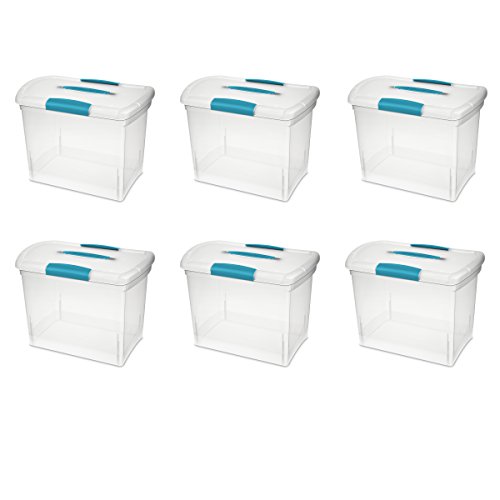 Sterilite 18768606 Large Nesting ShowOffs, Clear with Blue Aquarium Handle and Latches, 6-Pack