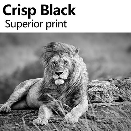 Cruxer Compatible Toner Cartridge Replacement for Brother TN360 TN-360 TN330 Used for MFC-7840W MFC-7340 MFC-7440N DCP-7040 DCP-7030 HL-2140 HL-2150N Printer (Black, 1-Pack)