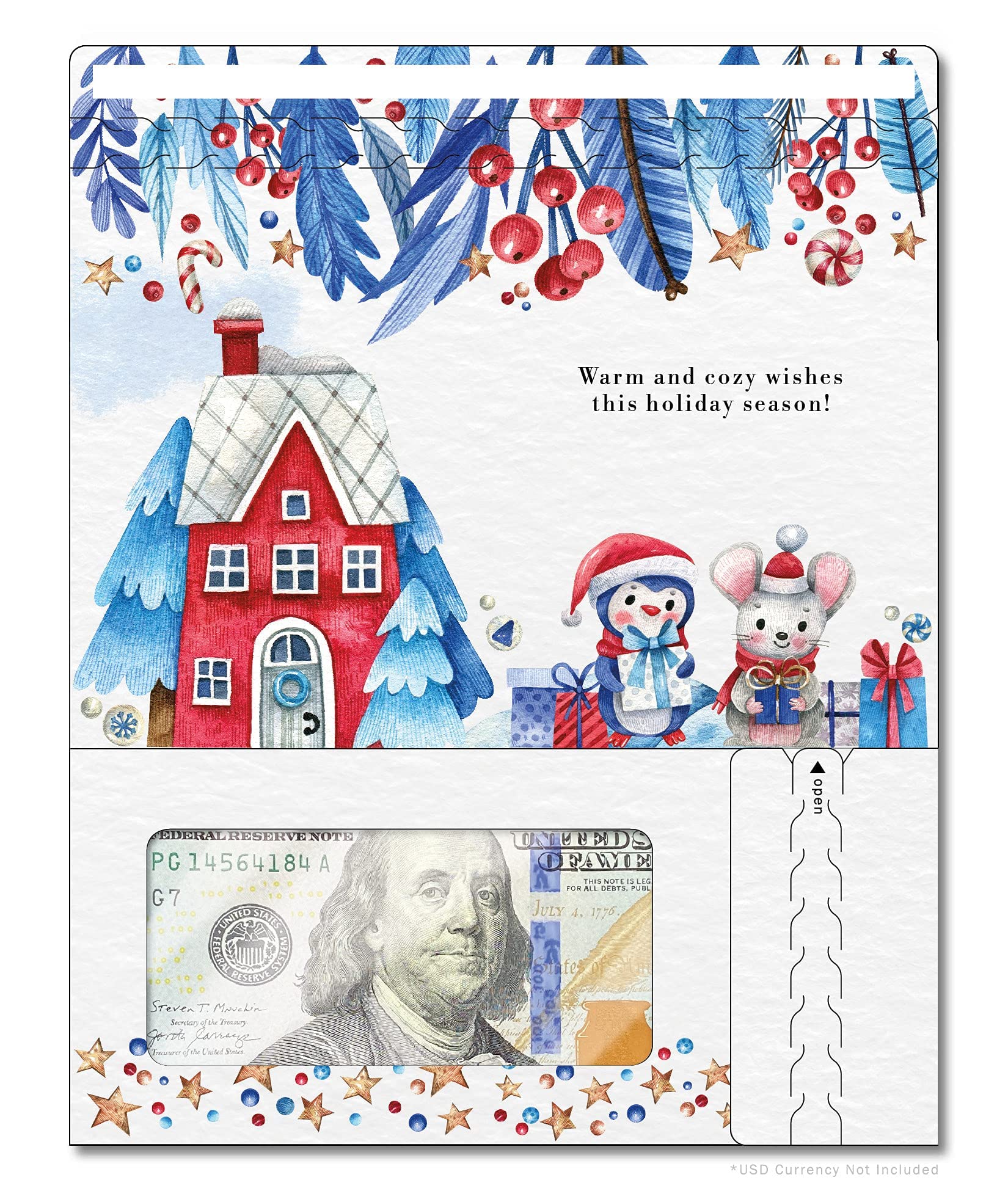 ZipGifts Holiday Card | Zip-Open Money Holder w/Clear Plastic Window for Cash, Check, & Gift Card (Holiday | Warm & Cozy)